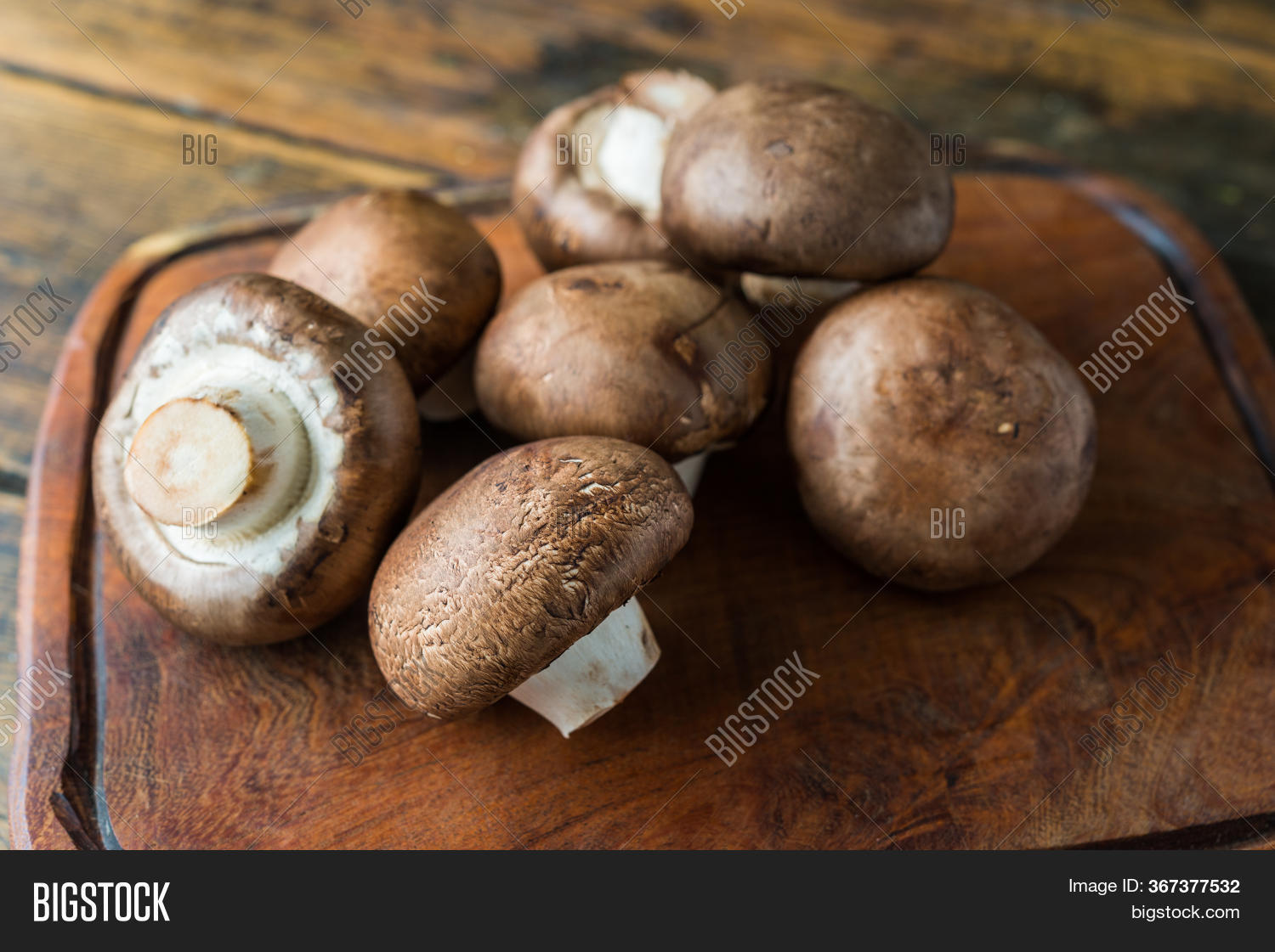 Close Portobello Image & Photo (Free Trial) | Bigstock