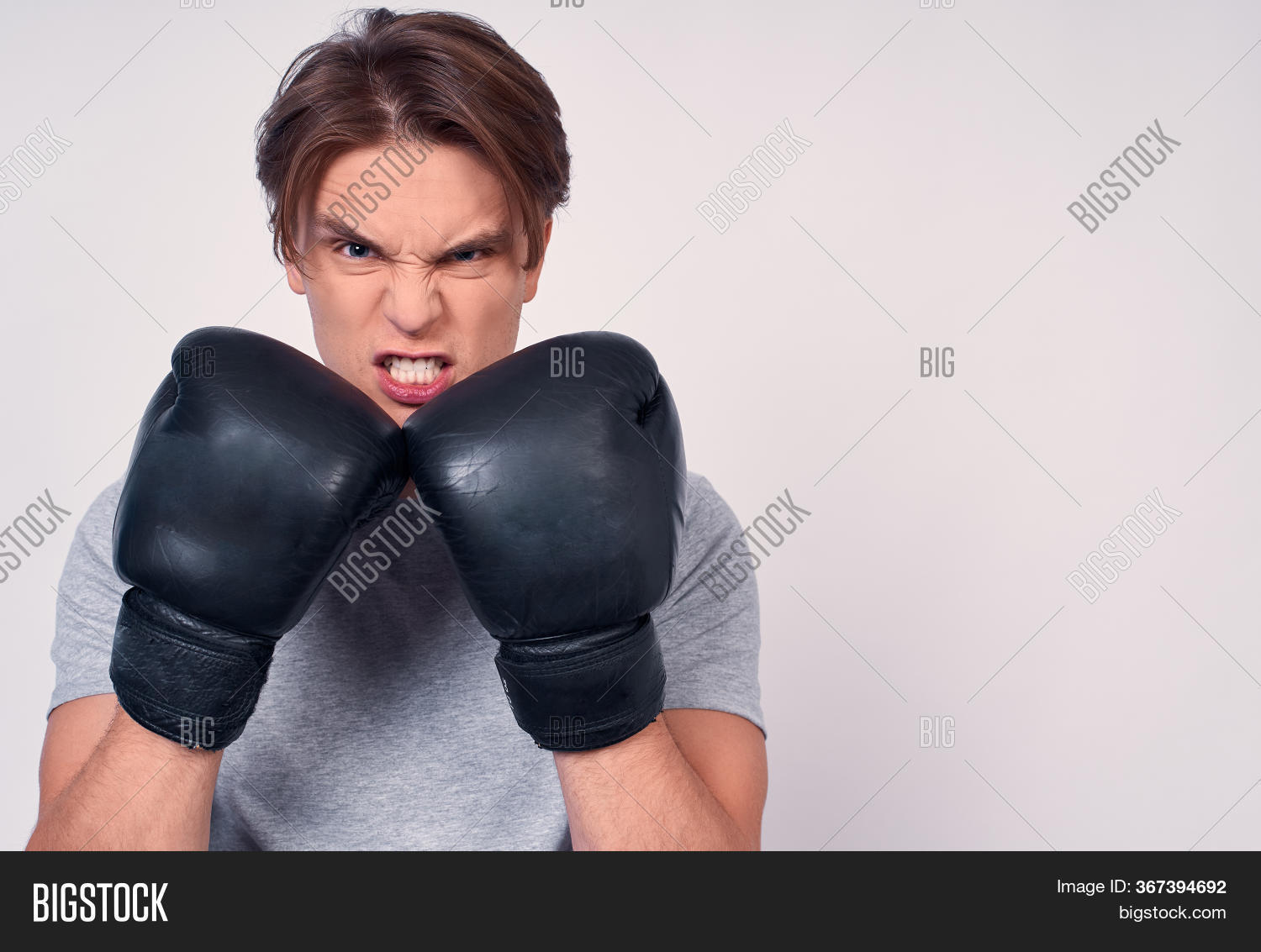 Young Aggressive Boxer Image & Photo (Free Trial) | Bigstock