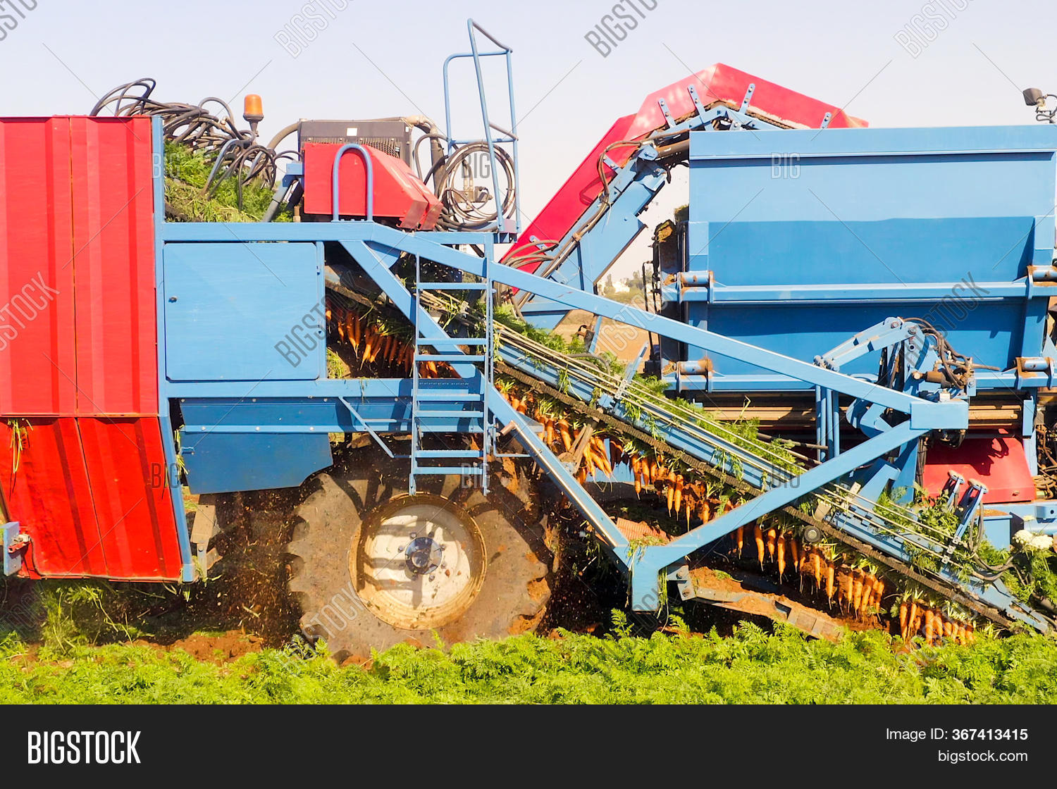Two Row Carrot Picker Image & Photo (Free Trial) | Bigstock
