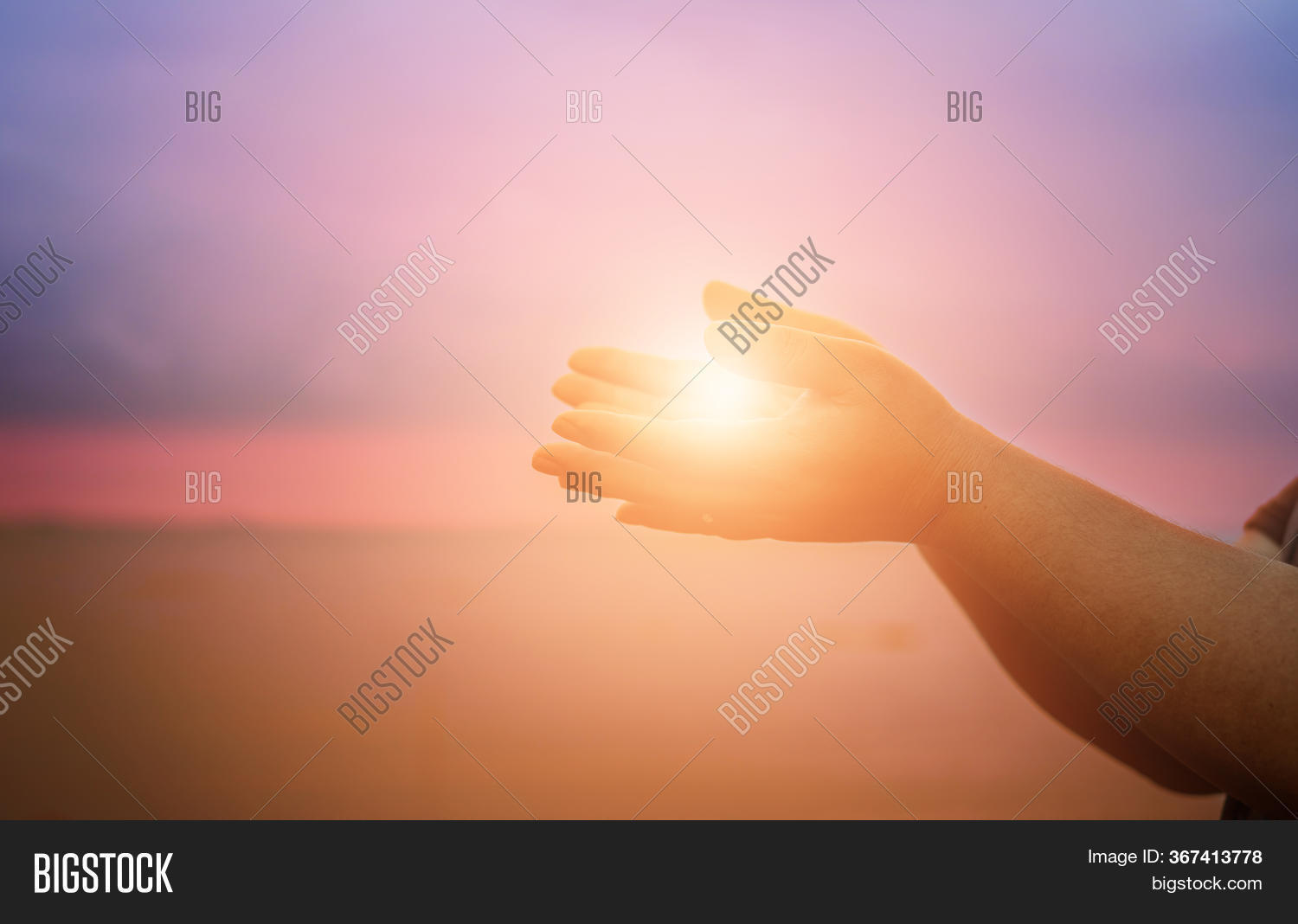Human Hands Open Palm Image & Photo (Free Trial) | Bigstock