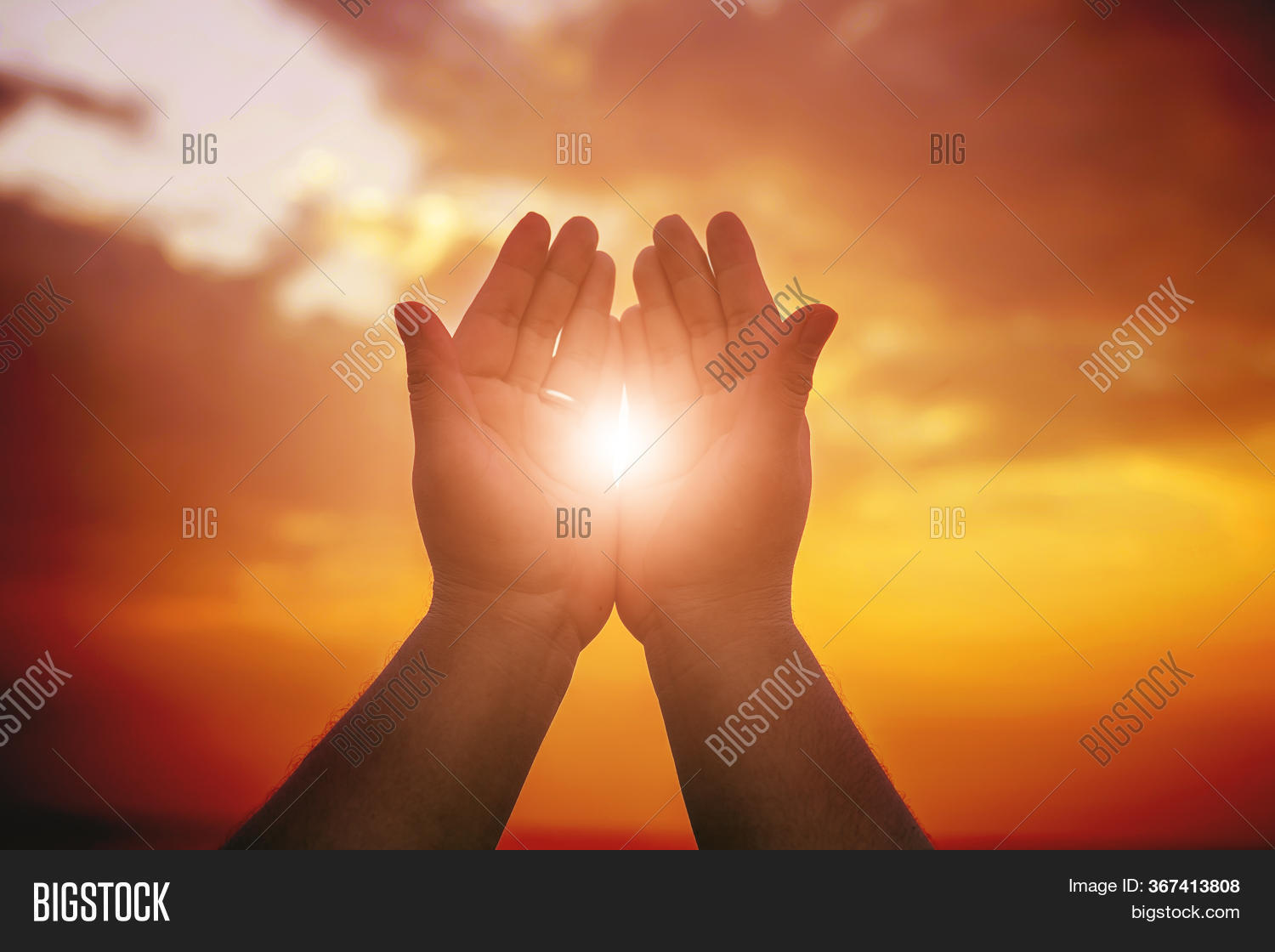 Human Hands Open Palm Image & Photo (Free Trial) | Bigstock