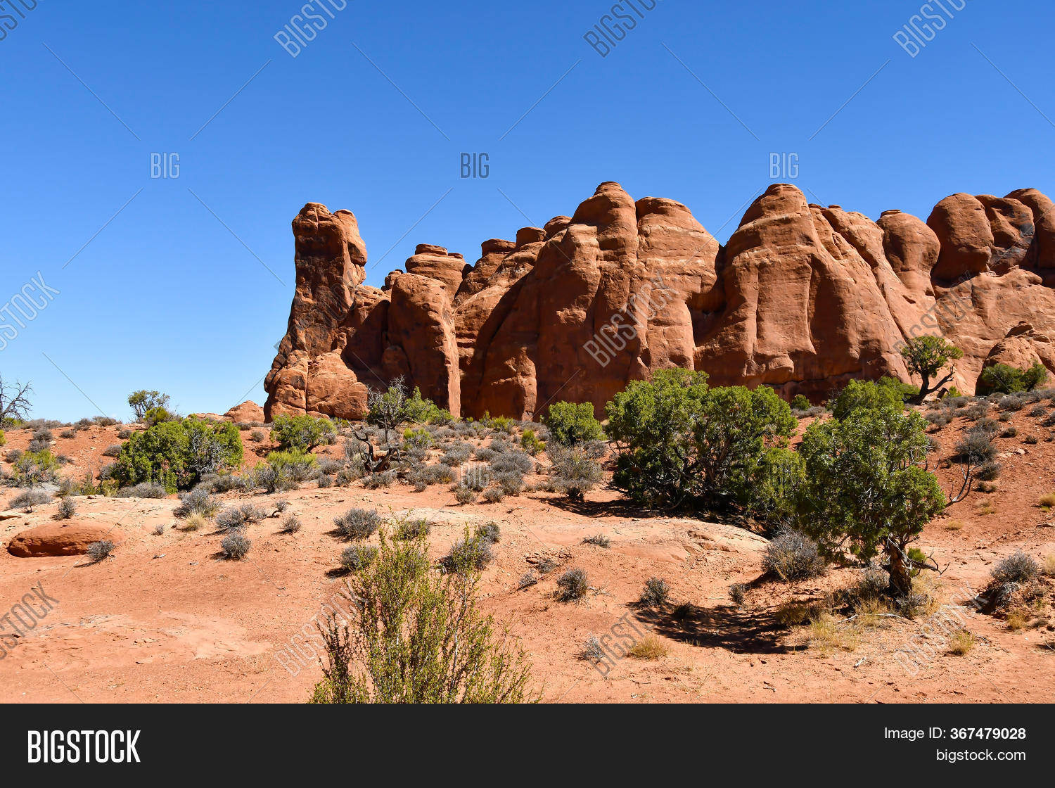 Red Rocks Juniper Image & Photo (Free Trial) | Bigstock