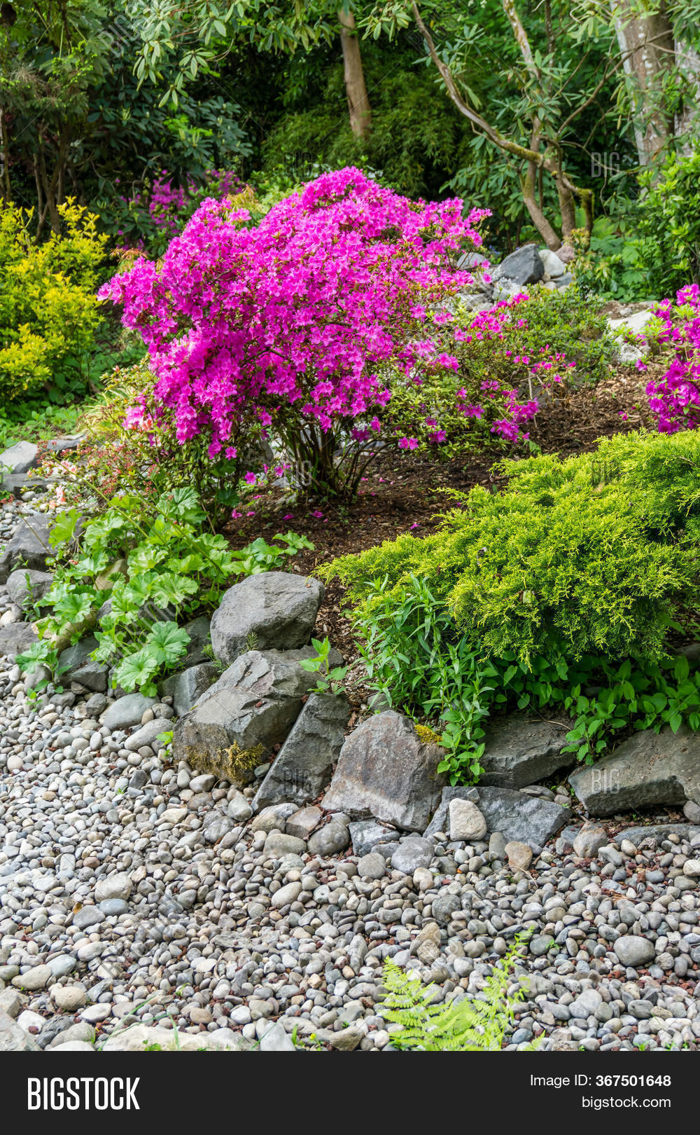 Spring Flowers Bloom Image & Photo (Free Trial) | Bigstock