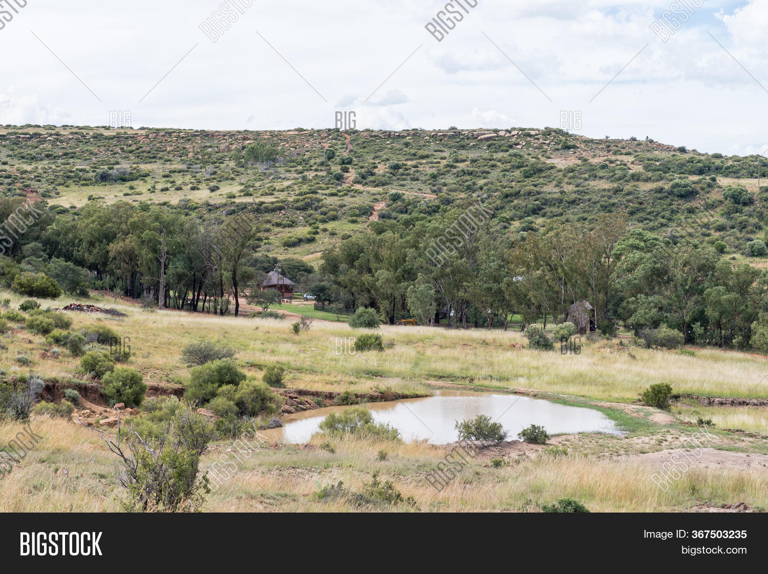 Ladybrand, South Image & Photo (Free Trial) | Bigstock