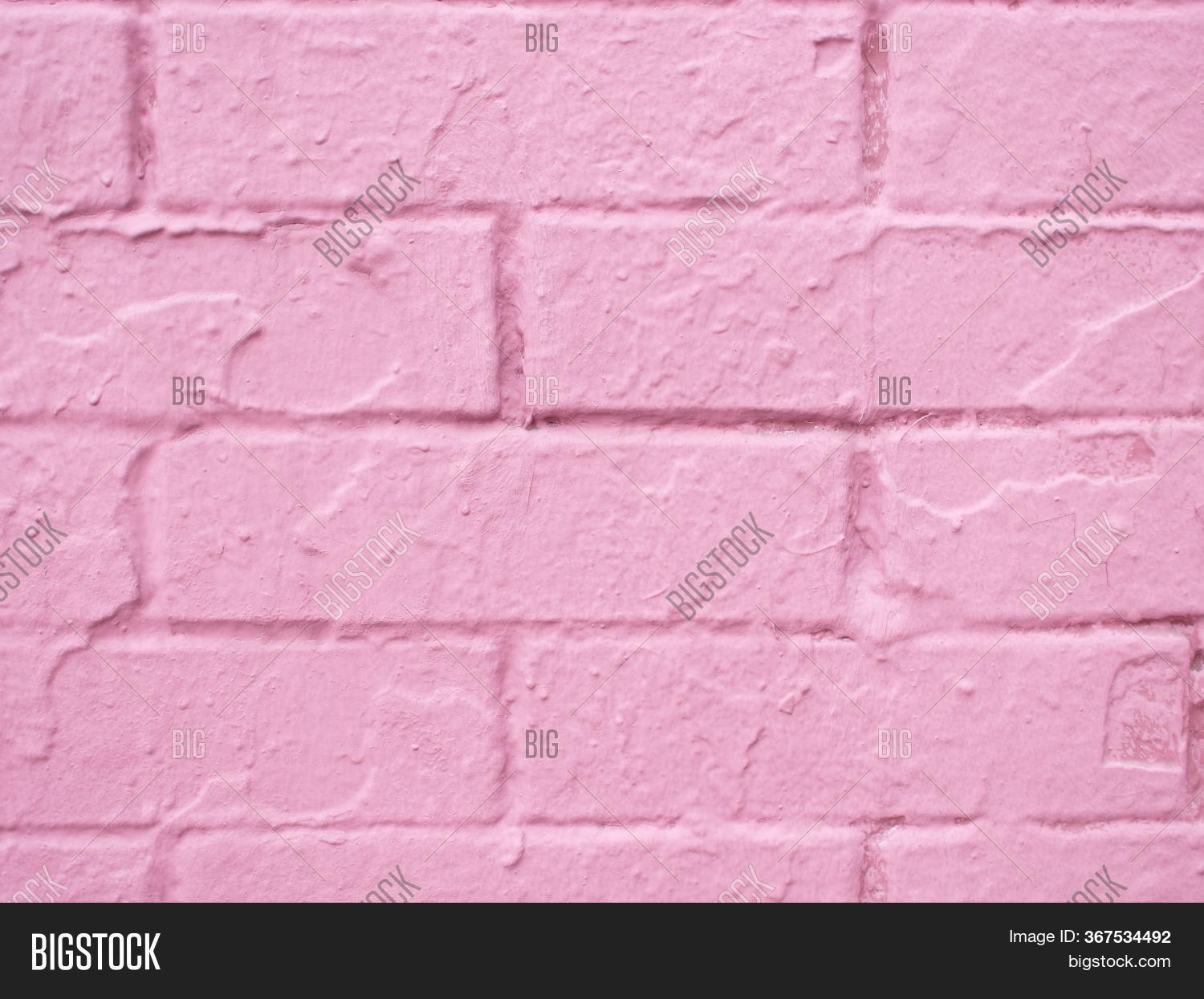 Rose Color Painted Image & Photo (Free Trial) | Bigstock