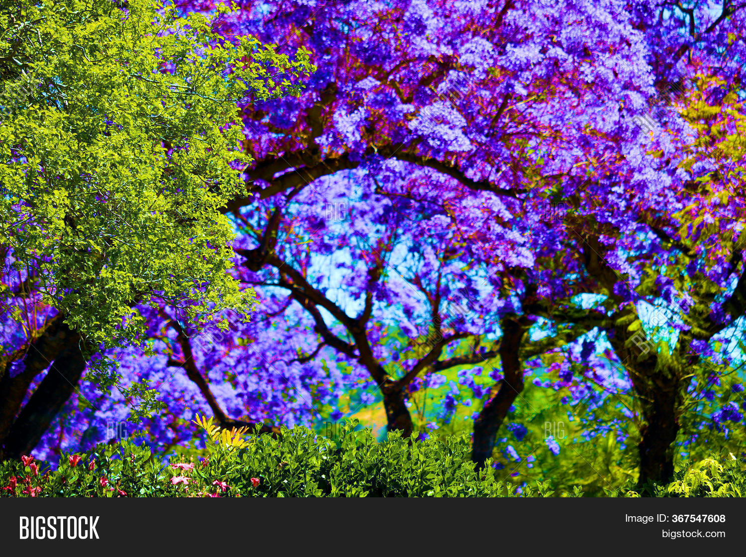 Lush Green Plants Image & Photo (Free Trial) | Bigstock