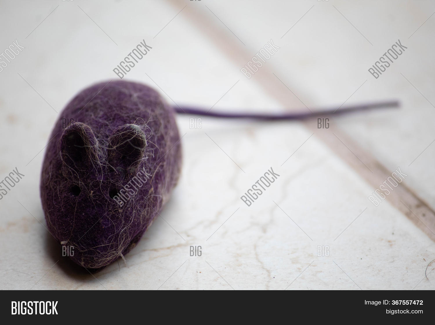 Dusty Plastic Mouse Image & Photo (Free Trial) | Bigstock