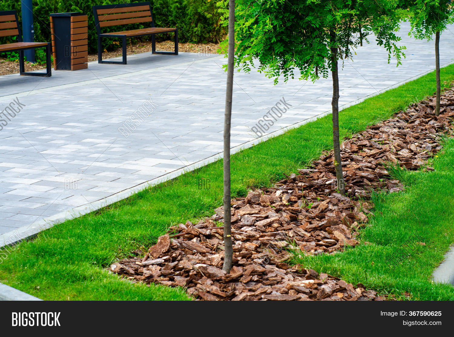 Park Landscaping Wood Image & Photo (Free Trial) | Bigstock