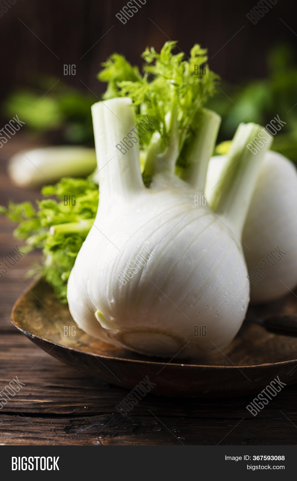 Raw Fresh Fennel Image & Photo (Free Trial) | Bigstock