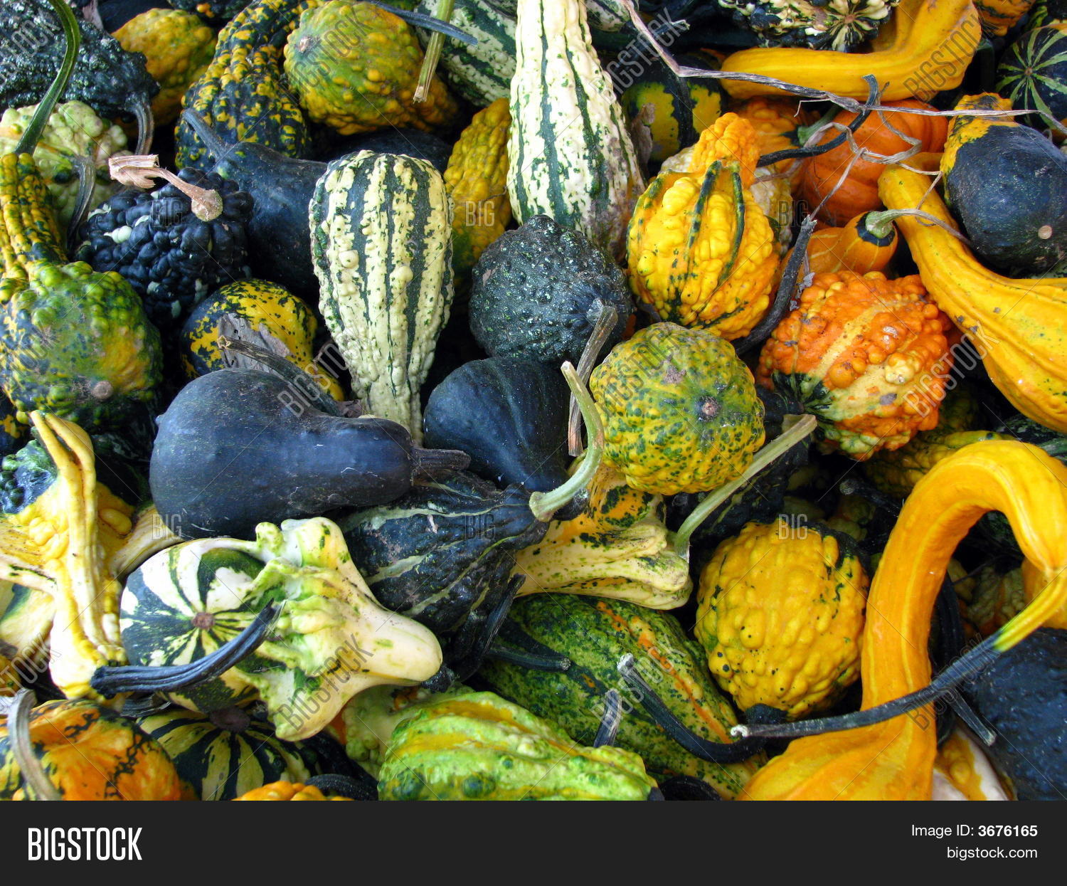 Ghords Image & Photo (Free Trial) | Bigstock