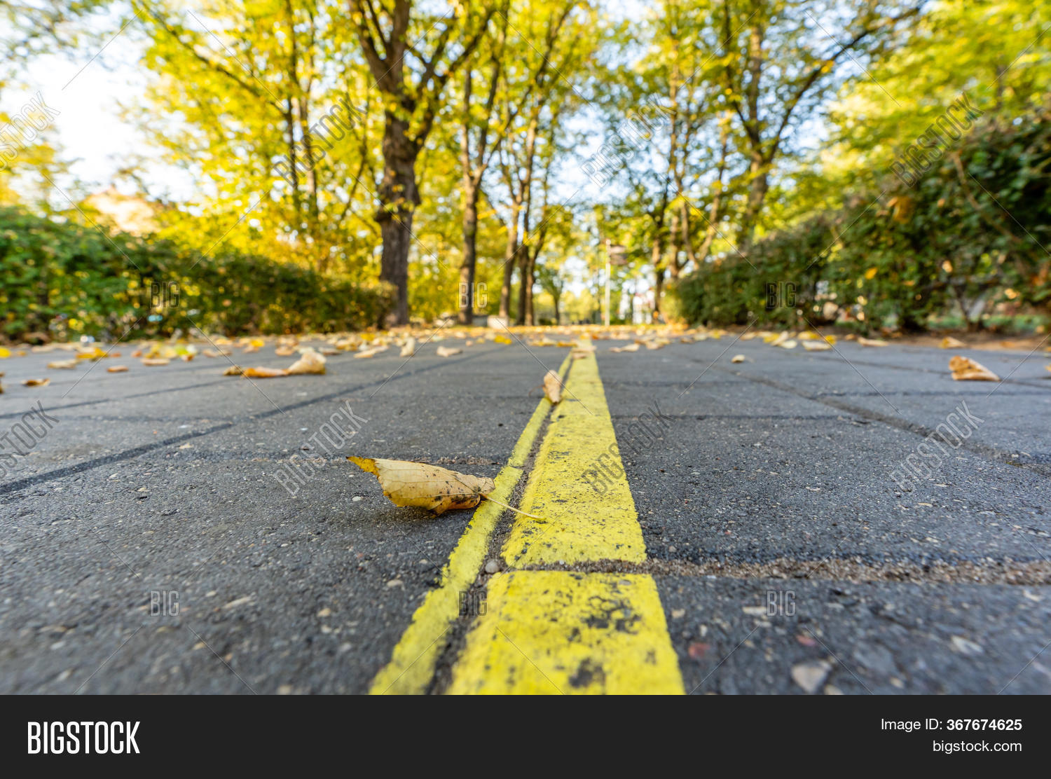 Closeup Pavement Park Image & Photo (Free Trial) | Bigstock