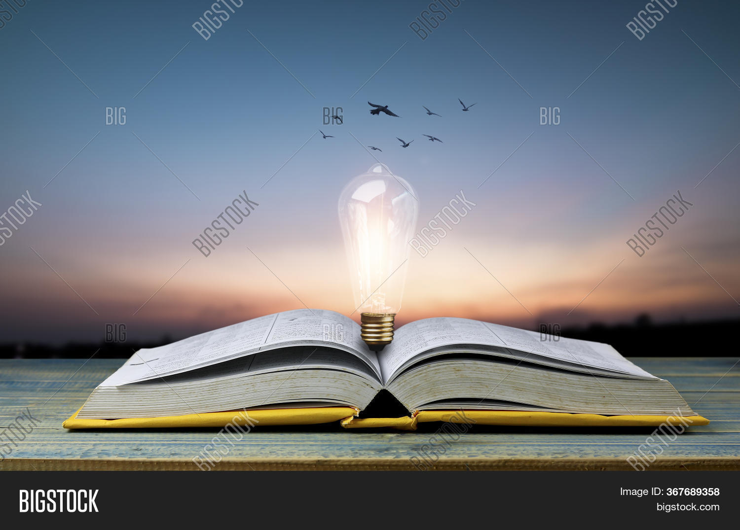 Open Book Light Bulb Image & Photo (Free Trial) | Bigstock