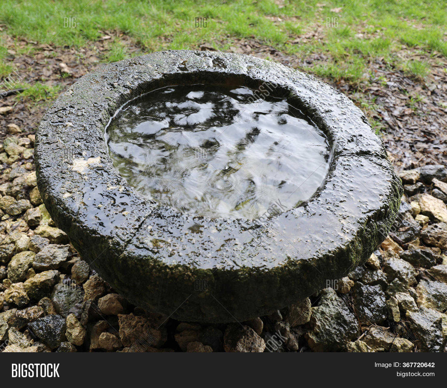 Ancient Container Made Image & Photo (Free Trial) | Bigstock