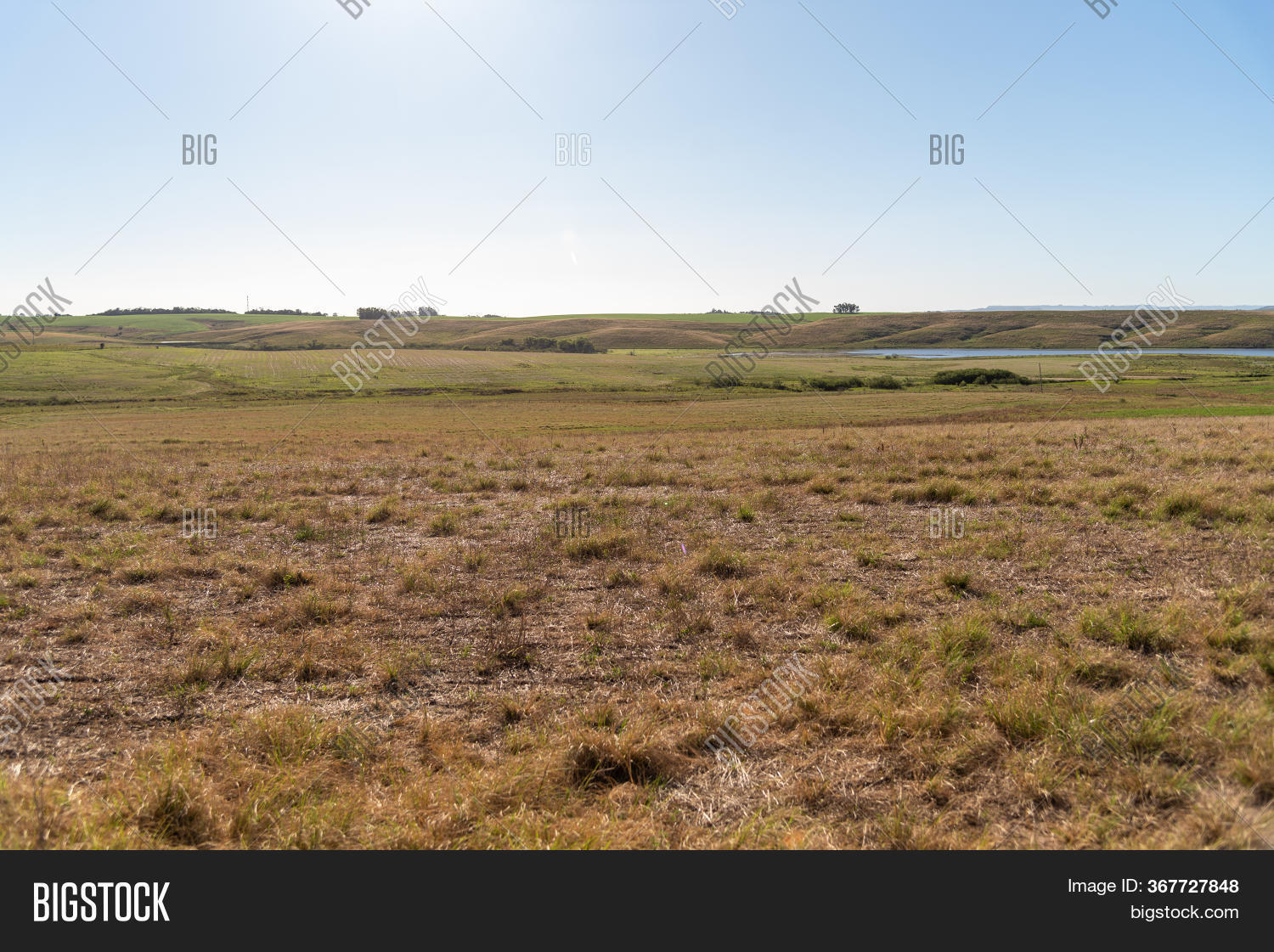 Farm Southern Brazil Image & Photo (Free Trial) | Bigstock