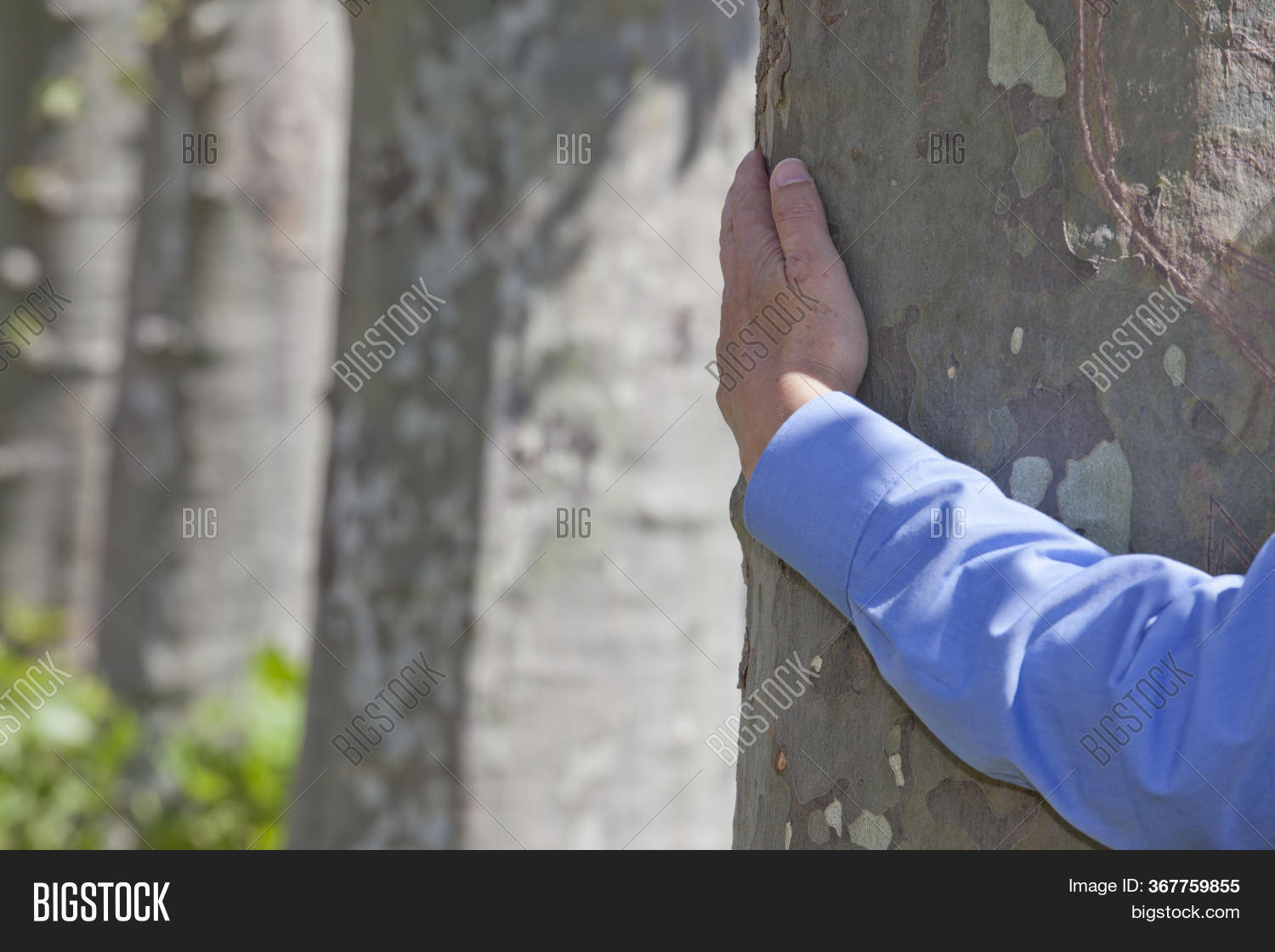 Arm Businessman Image & Photo (Free Trial) | Bigstock