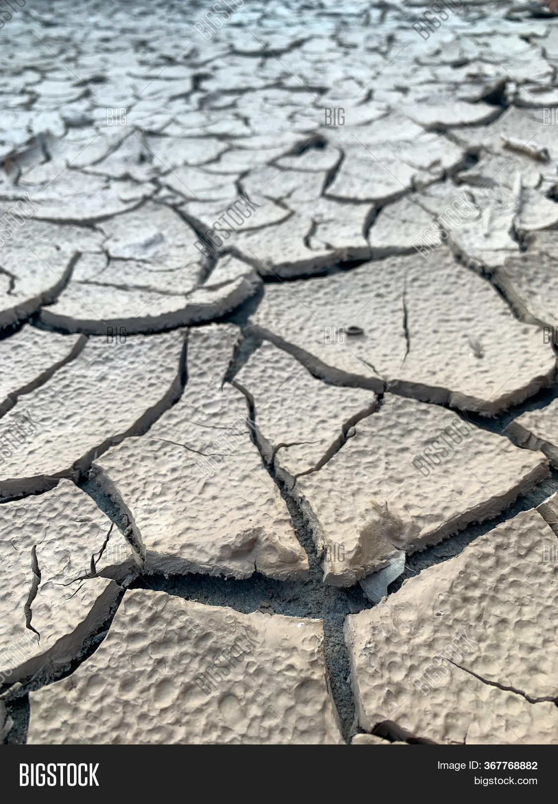 Dry Land Dry Season Image & Photo (Free Trial) | Bigstock