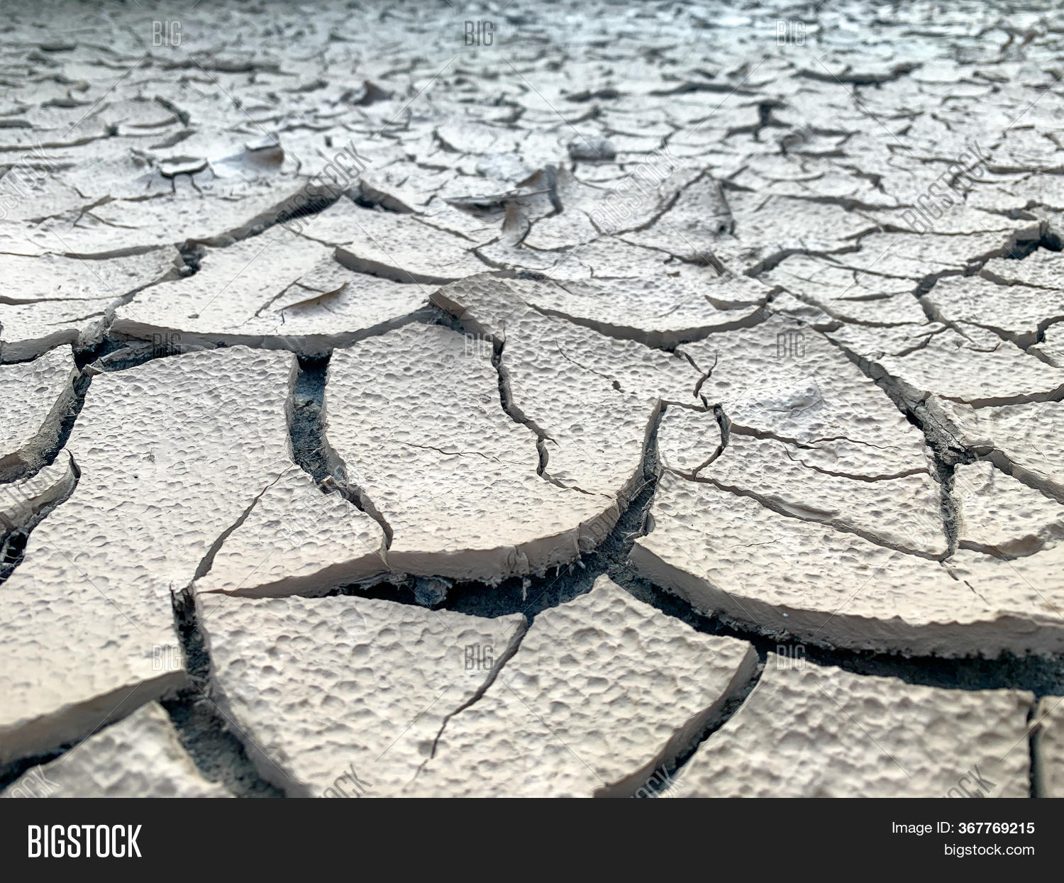 Dry Land Dry Season Image & Photo (Free Trial) | Bigstock