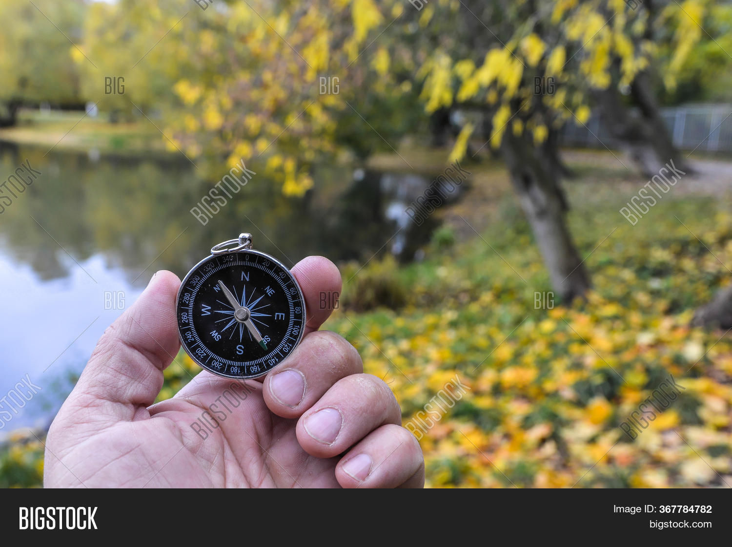 Compass Orientation. Image & Photo (Free Trial) | Bigstock