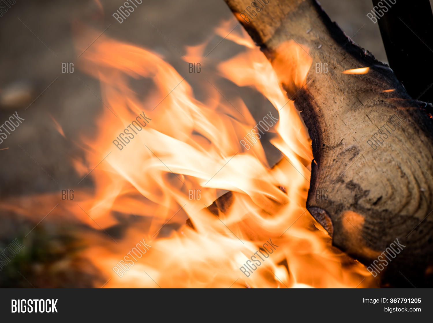 Piece Wood Burning Image & Photo (Free Trial) | Bigstock