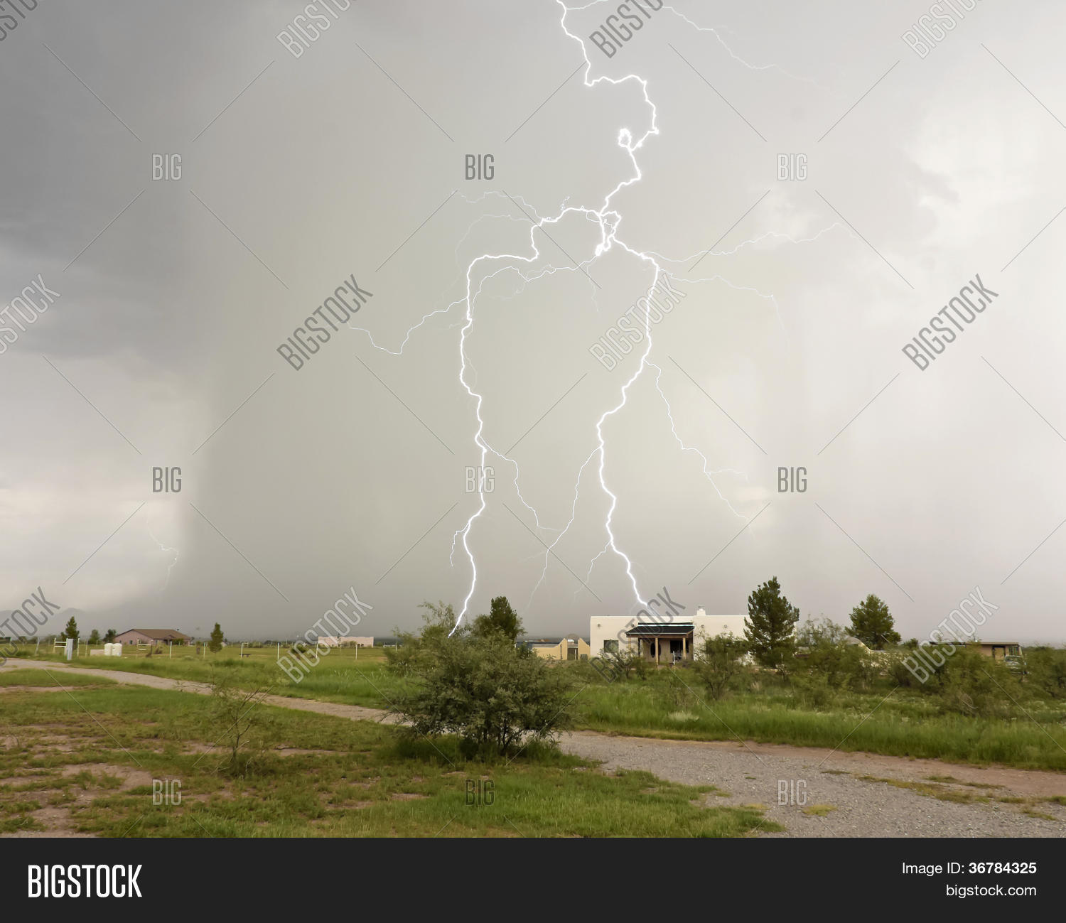 Lightning Strike Looks Image & Photo (Free Trial) | Bigstock
