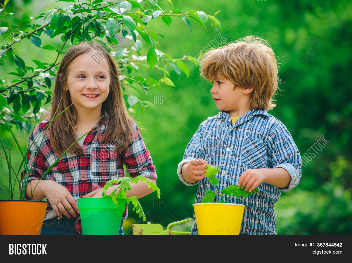 Summer Countryside. Image & Photo (Free Trial) | Bigstock