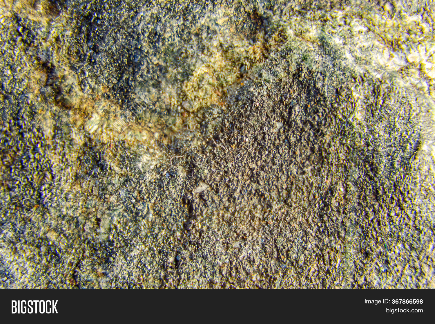 Diverse Macro Texture Image & Photo (Free Trial) | Bigstock