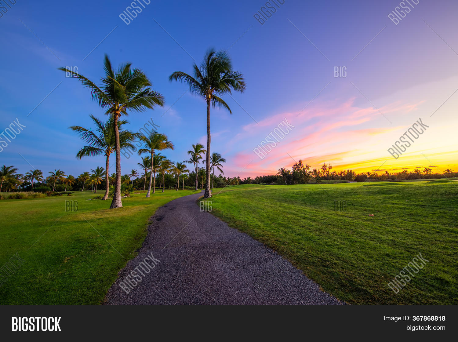 Tropical Golf Course Image & Photo (Free Trial) | Bigstock