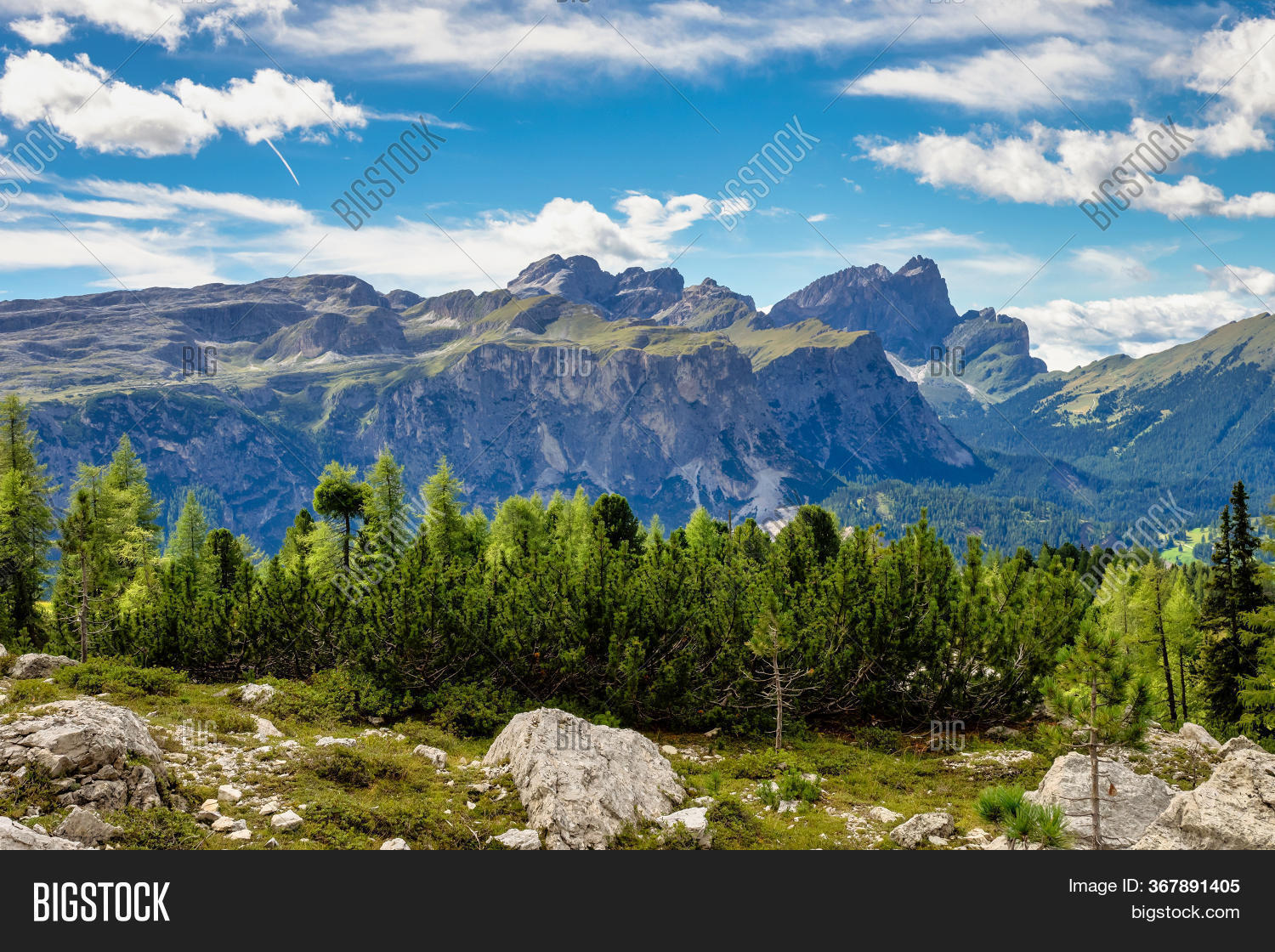 View Western Face Image & Photo (Free Trial) | Bigstock