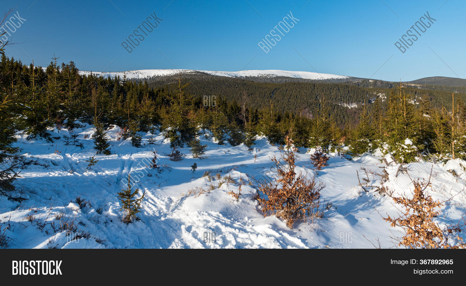 Winter Jeseniky Image & Photo (Free Trial) | Bigstock