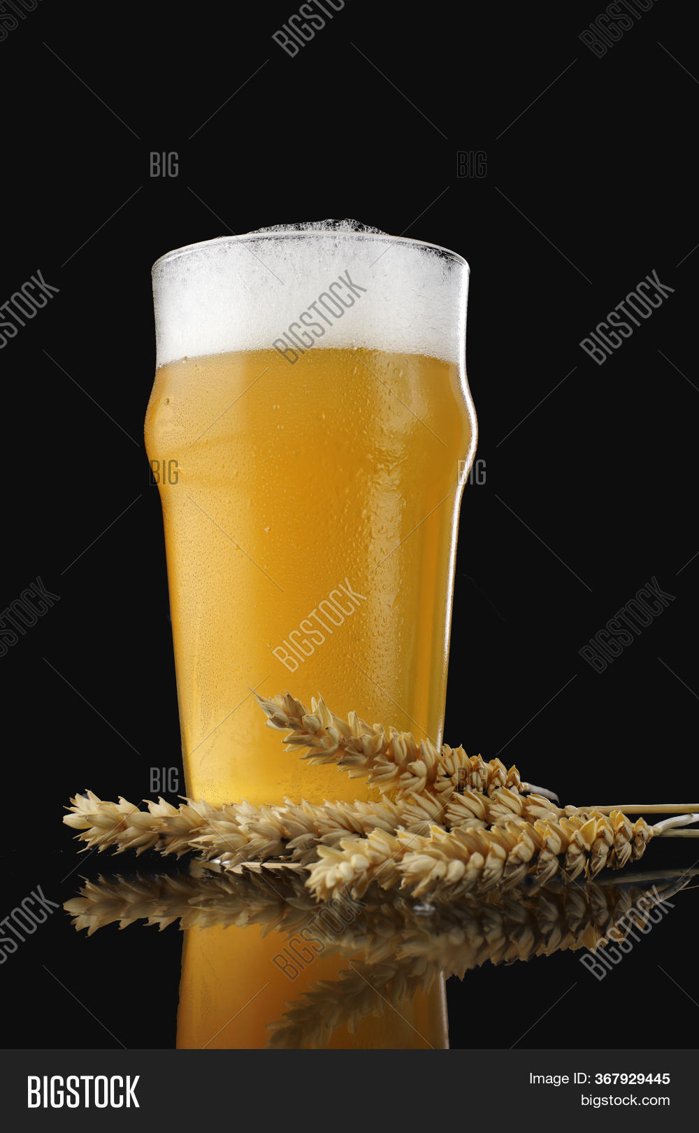 Pint Beer Ears Grains Image & Photo (Free Trial) | Bigstock