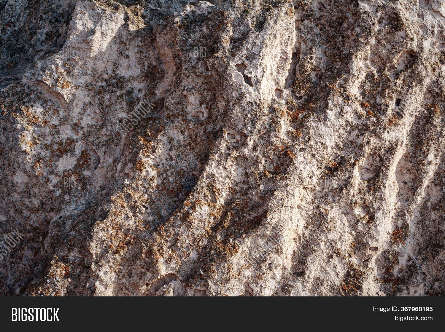 Surface Sandy Rock. Image & Photo (Free Trial) | Bigstock