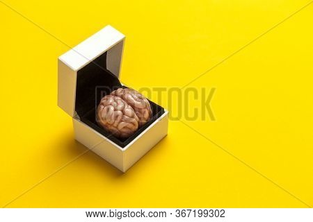 Smart Human Brain Box Image & Photo (Free Trial) | Bigstock