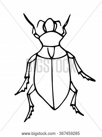 Bug Outline Vector. Vector & Photo (Free Trial) | Bigstock