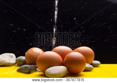 Egg Washing, Fresh Image & Photo (Free Trial) | Bigstock