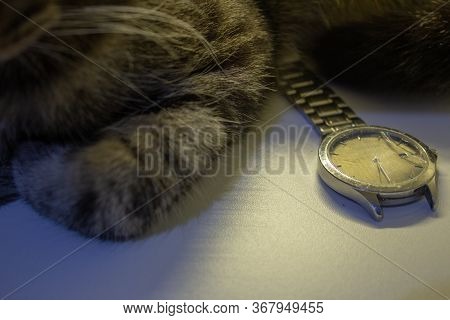 Broken Wrist Watch, Image & Photo (Free Trial) | Bigstock