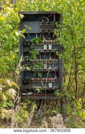 Outdoor Old Electrical Control Cabinet . Trees With Green Leaves ...