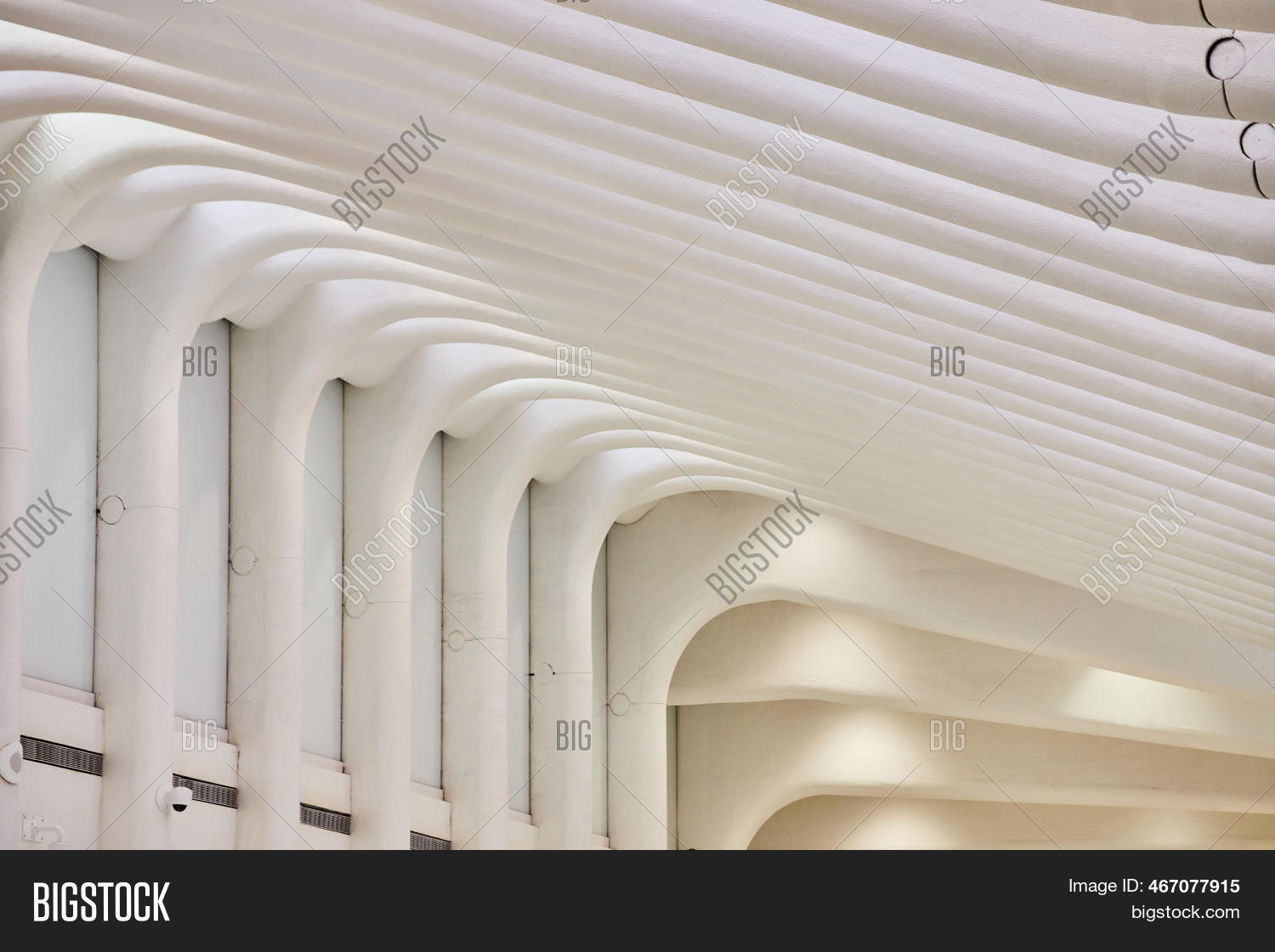 White Ribs Bars On Image & Photo (Free Trial) | Bigstock