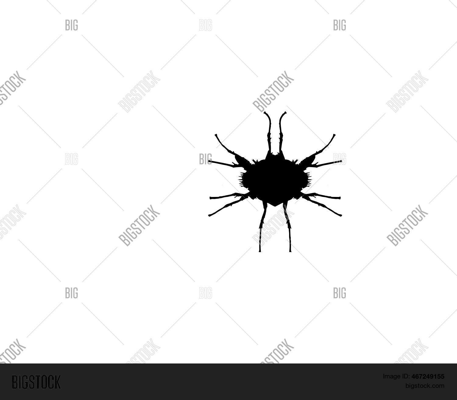 Bacteria Icon. Simple Vector & Photo (Free Trial) | Bigstock