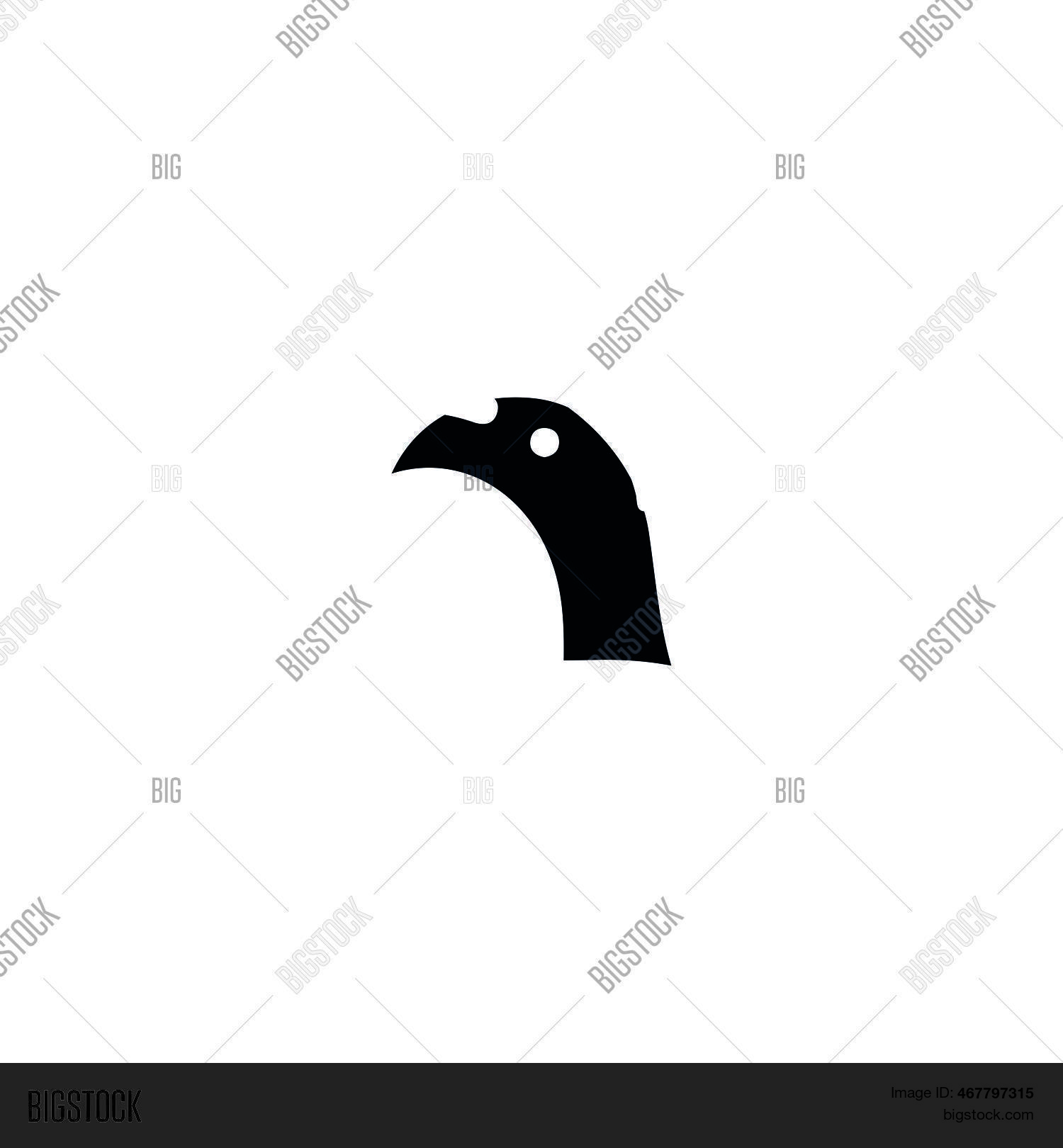 Bird Head Icon. Vector & Photo (Free Trial) | Bigstock