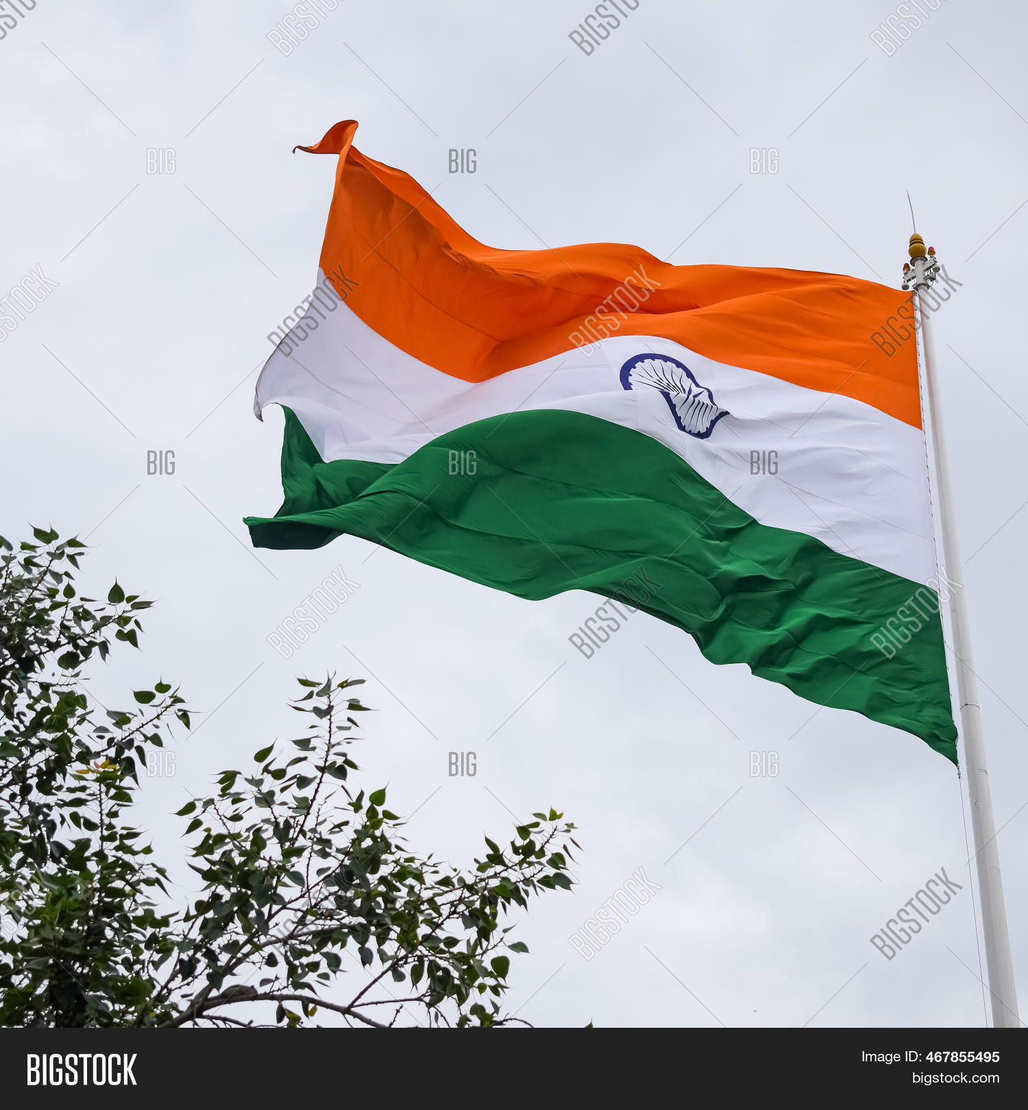India Flag Flying High Image & Photo (Free Trial) | Bigstock