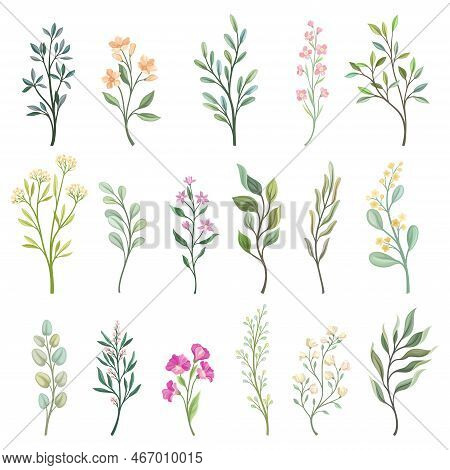 Floral Branches Vector & Photo (Free Trial) | Bigstock