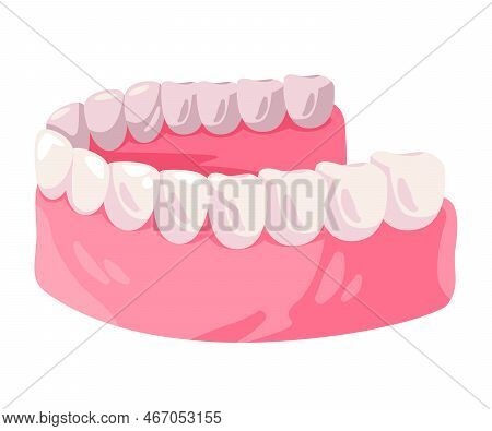 Mouth Gums Teeth Vector & Photo (Free Trial) | Bigstock