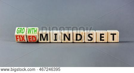 Growth Fixed Mindset Image & Photo (Free Trial) | Bigstock