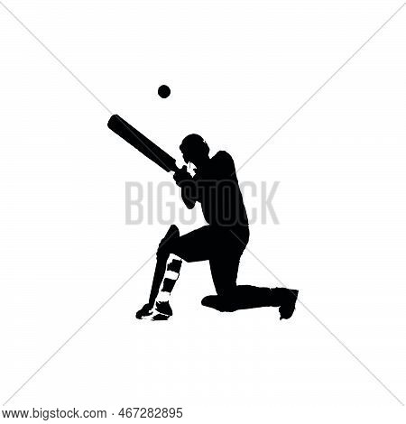 Cricket Player Icon. Vector & Photo (Free Trial) | Bigstock