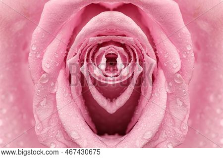 Erotic Metaphor Design Image & Photo (Free Trial) | Bigstock