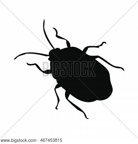 Silhouette Bug. Bug Vector & Photo (Free Trial) | Bigstock