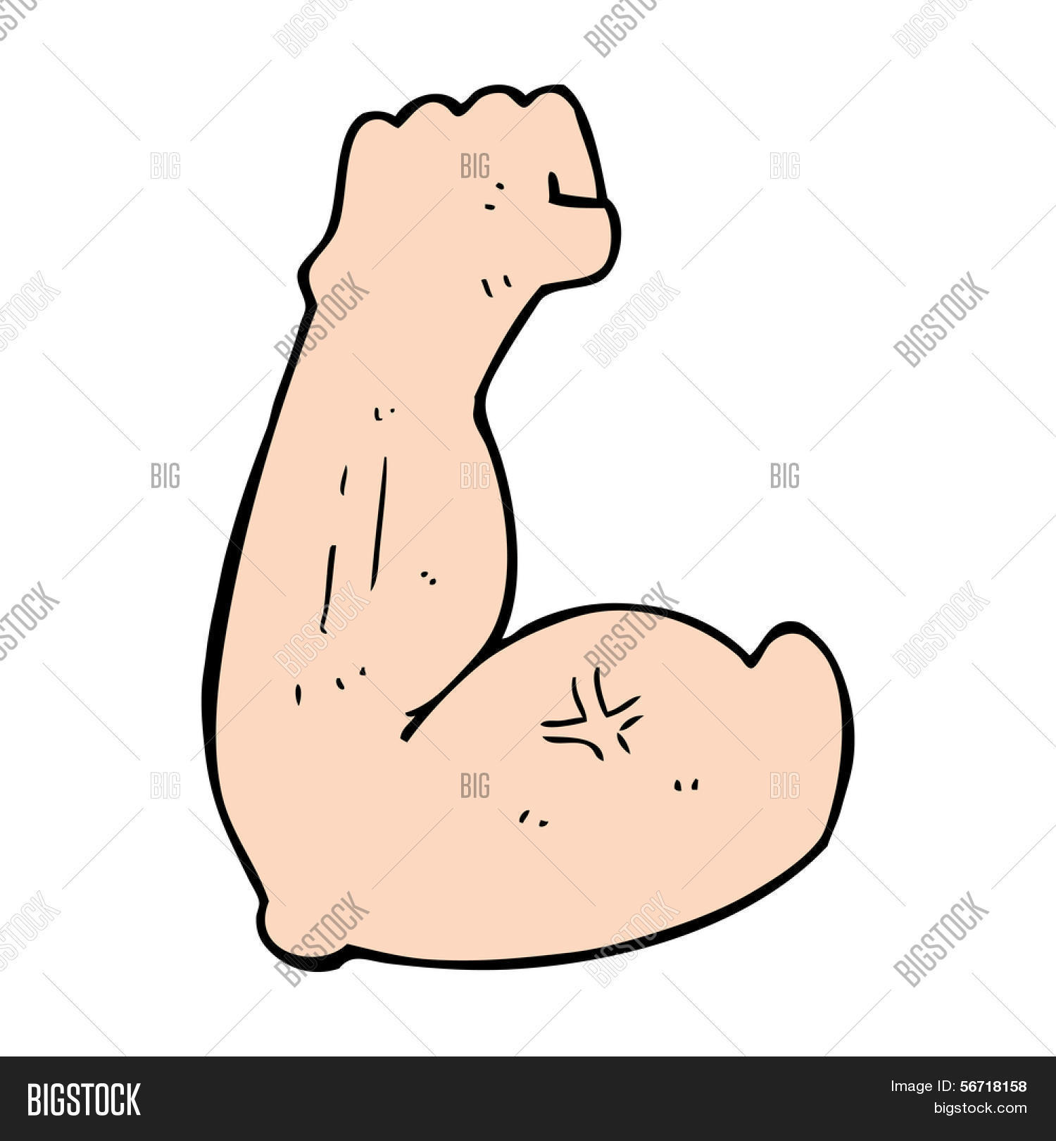 Flexing Bicep Cartoon Image & Photo (Free Trial) | Bigstock