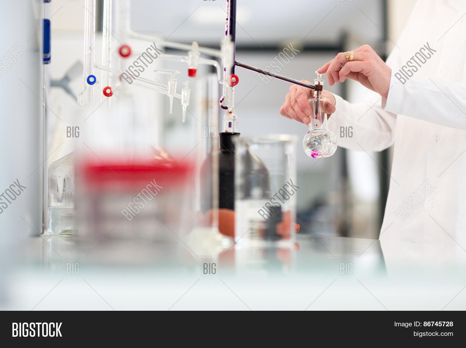 Lab Worker's Hands Image & Photo (Free Trial) | Bigstock