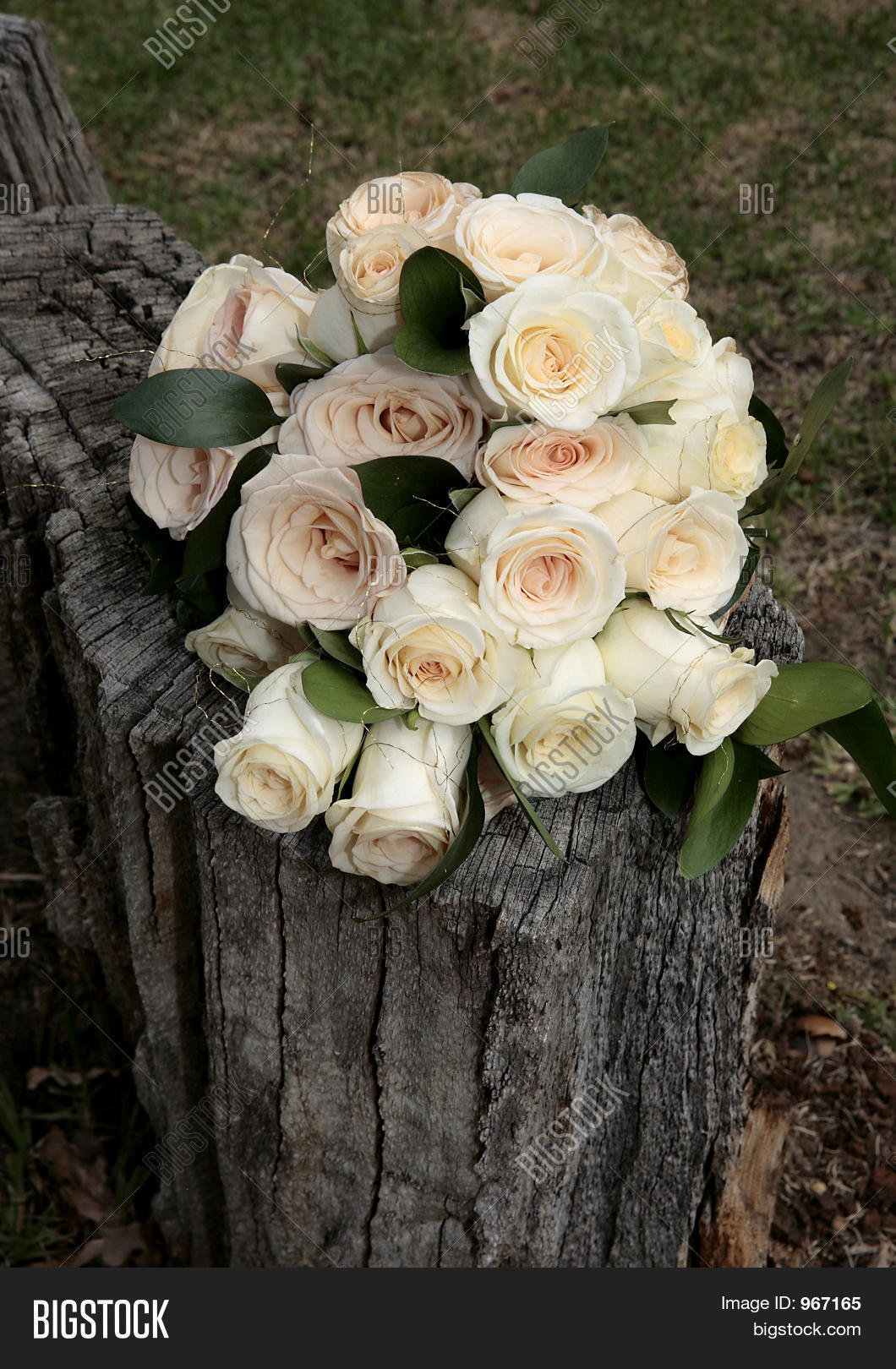 Blushing Bride Image & Photo (Free Trial) | Bigstock