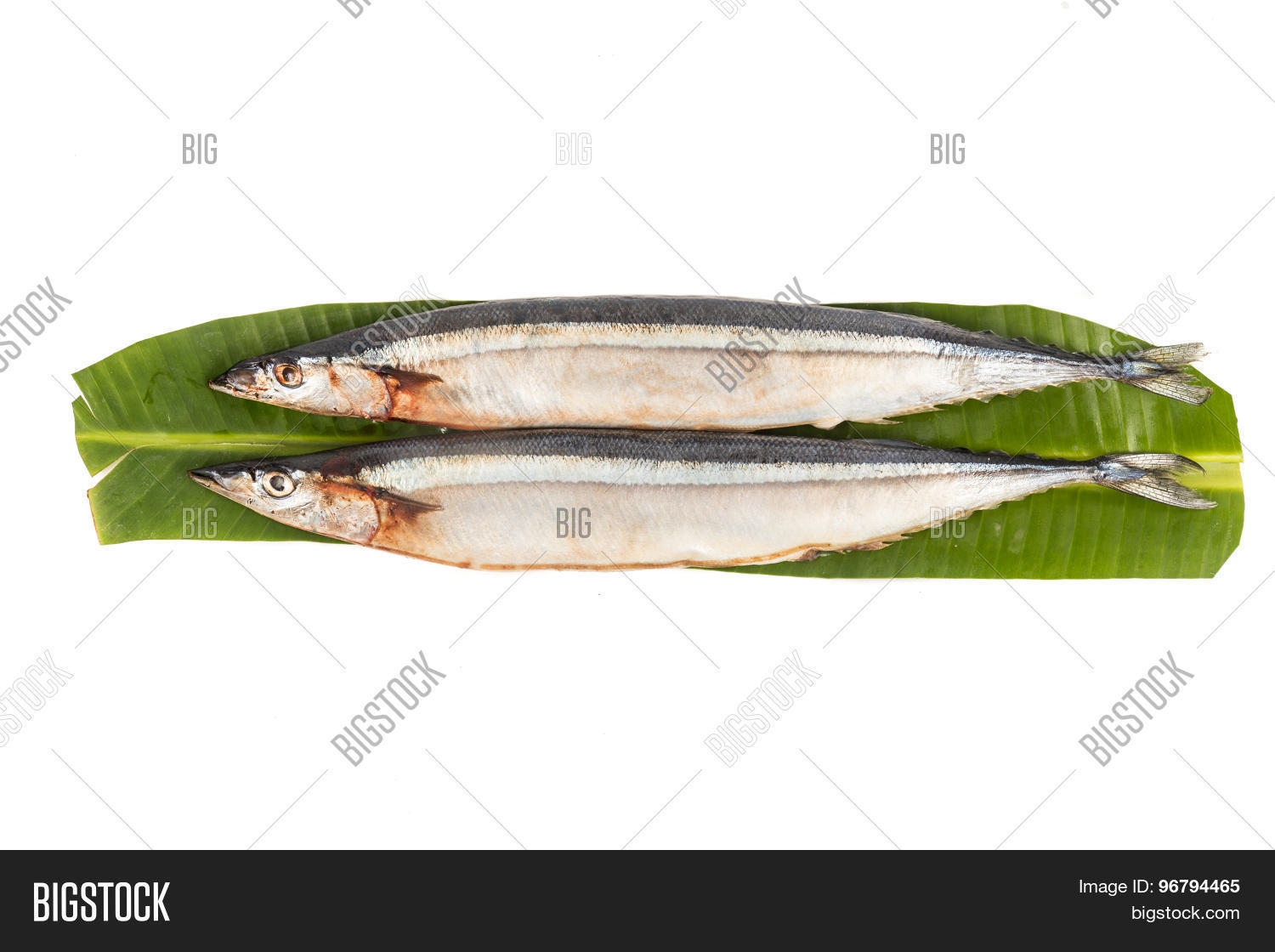 Fresh Japanese Sanma Image & Photo (Free Trial) | Bigstock